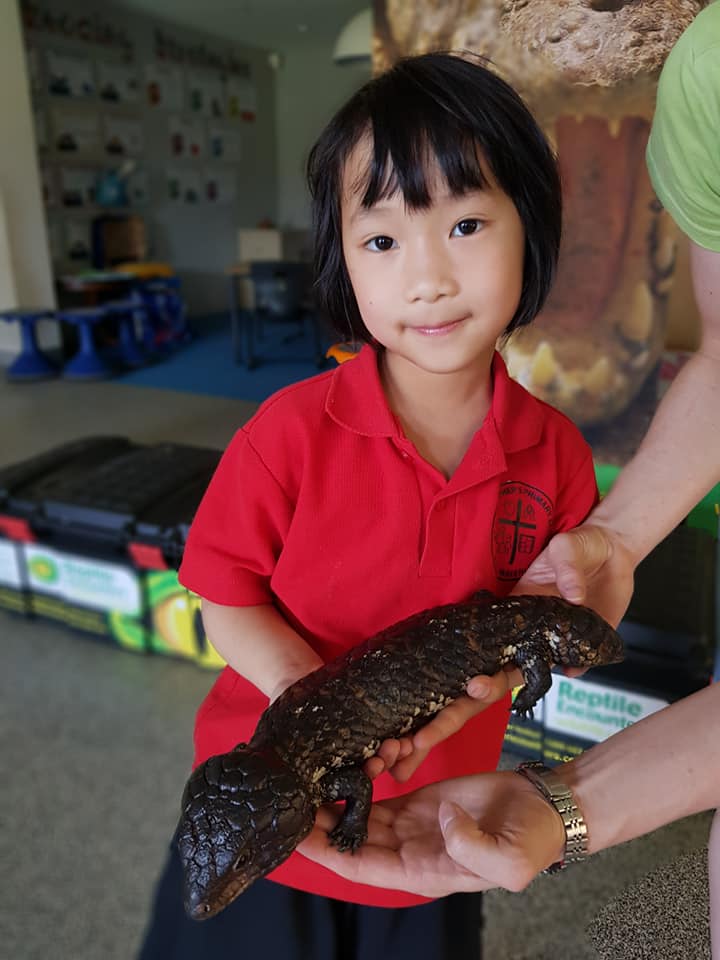 St. Christopher's | Reptile Encounters Incursion - St. Christopher's